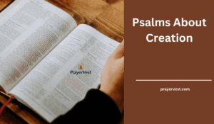 25 Comforting Psalms About Peace - PrayerVest