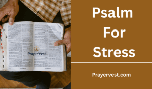 50 Most Beautiful Psalms For Women (2025) - PrayerVest