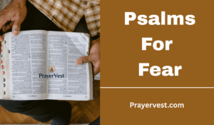 50 Most Beautiful Psalms of Gratitude (2025) - PrayerVest