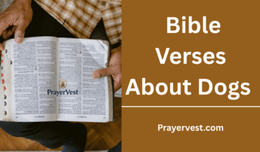 40 Powerful Bible Verses About Dogs (2026) - PrayerVest