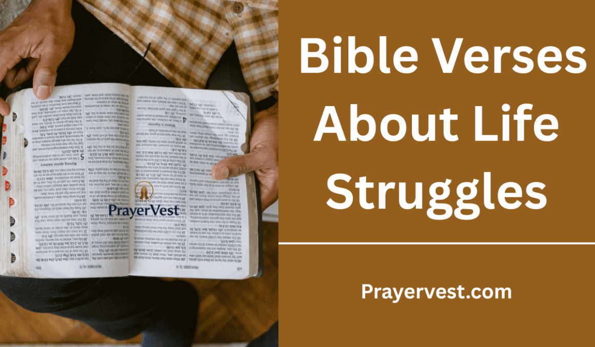 40 Powerful Bible Verses About Life Struggles (2025) - PrayerVest