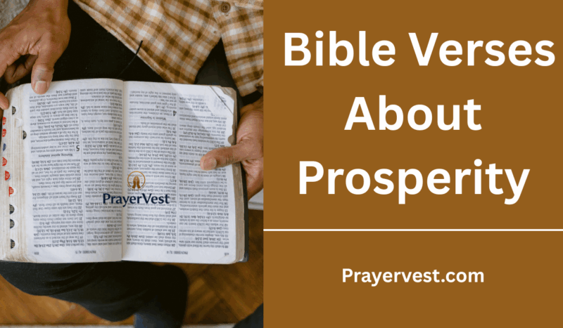 40 Inspiring Bible Verses About Prosperity (2025) - PrayerVest