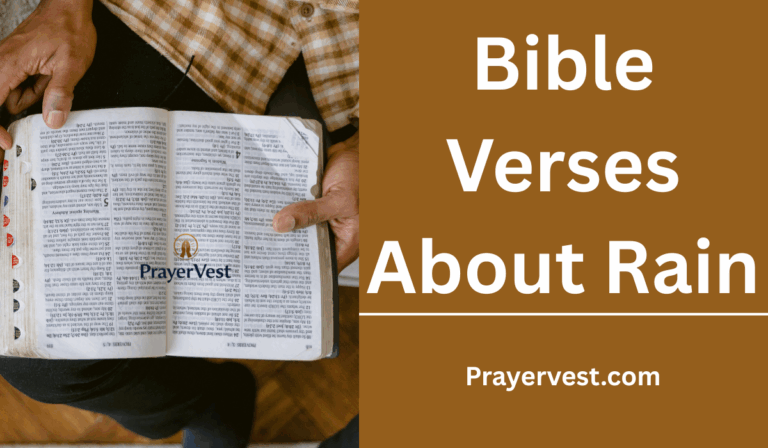 40 Powerful Bible Verses About Rain (2026) - PrayerVest