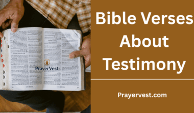 40 Powerful Bible Verses About Testimony (2025) - PrayerVest