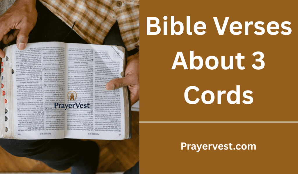 40 Inspiring Bible Verses About 3 Cords (2025) - PrayerVest