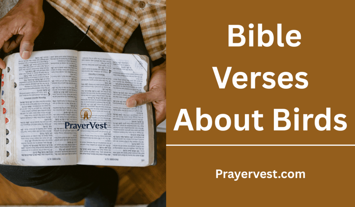 40 Inspiring Bible Verses About Birds (2026) - PrayerVest