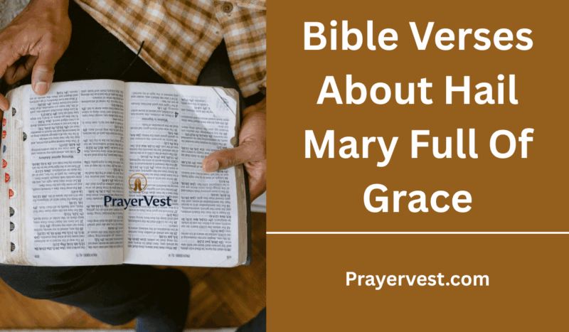 40 Powerful Bible Verses About Hail Mary Full Of Grace (2026) - PrayerVest