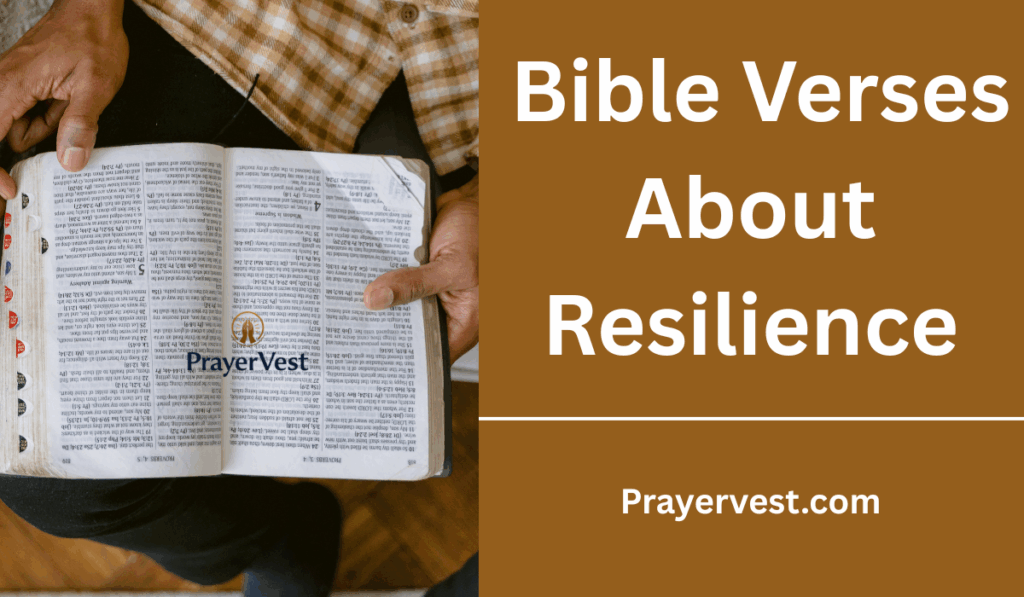 40 Powerful Bible Verses About Resilience (2025) - PrayerVest