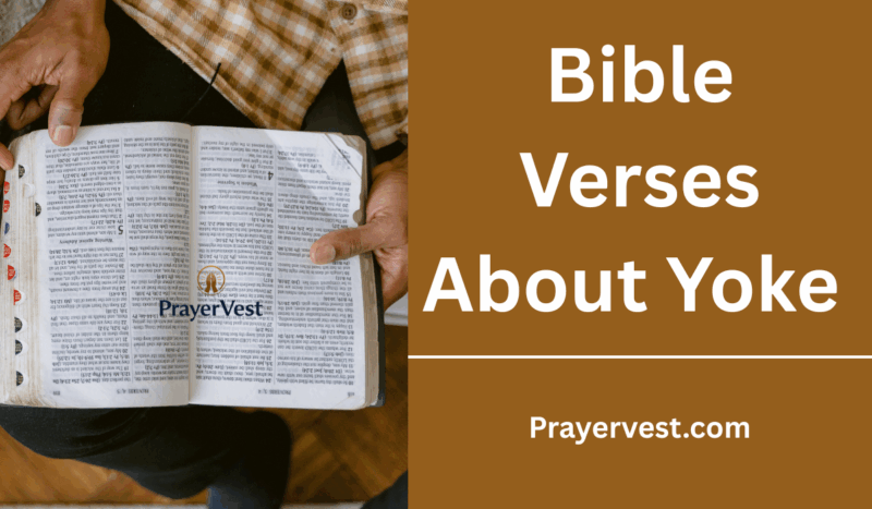 40 Powerful Bible Verses About Yoke (2025) - PrayerVest