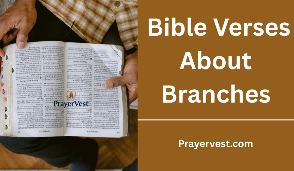 40 Inspiring Bible Verses About Branches (2026) - PrayerVest
