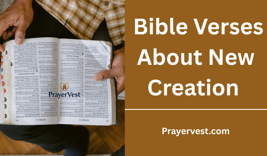 40 Powerful Bible Verses About New Creation - PrayerVest