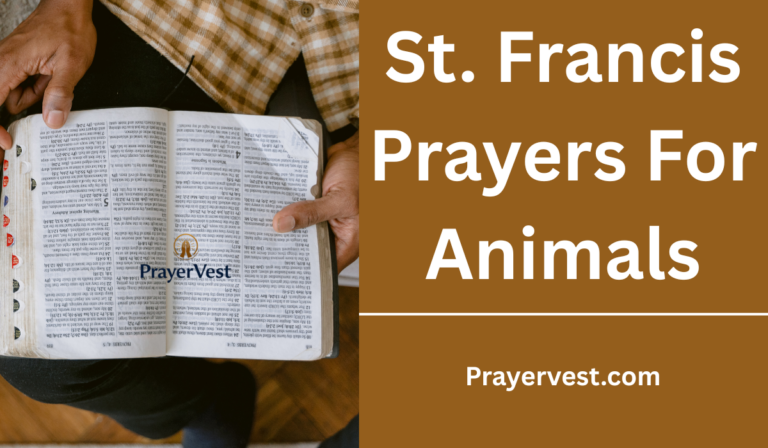 30 Inspiring St. Francis Prayers For Animals (2026) - PrayerVest